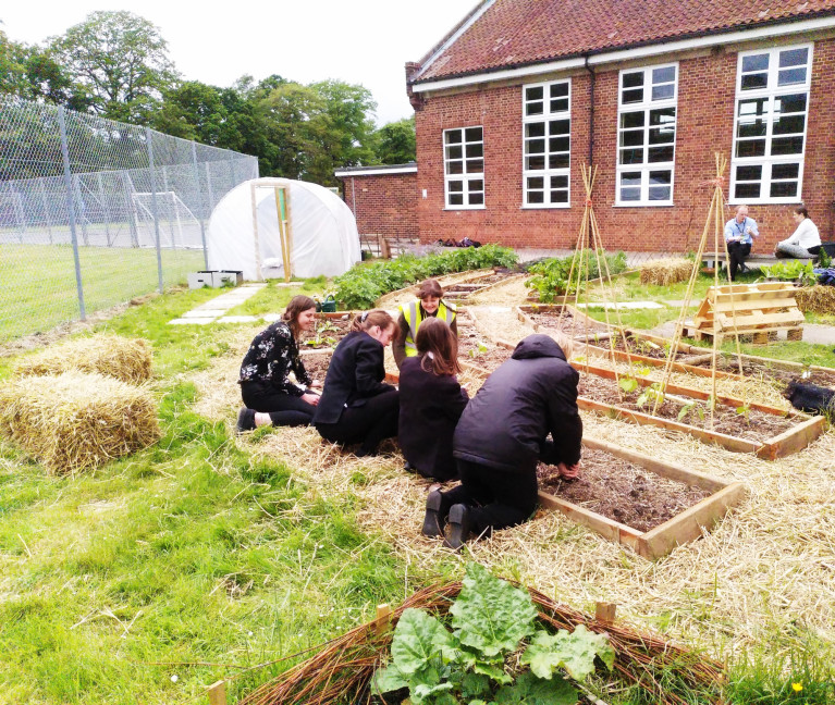 The Papillon Project - Examples of our work