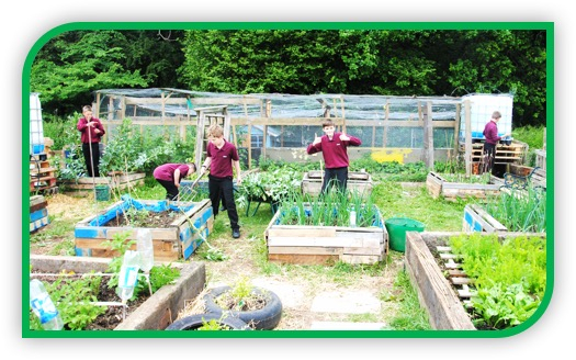 The Papillon Project - Why create and develop a school allotment? REASON 2